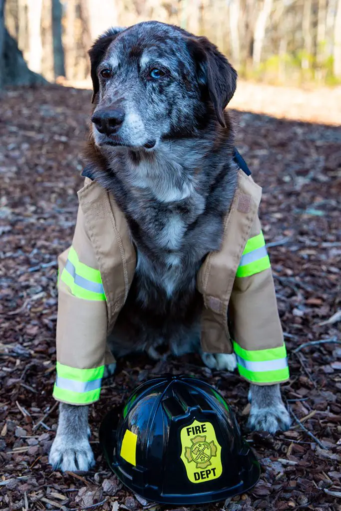 Firefighters Are REAL Superheroes