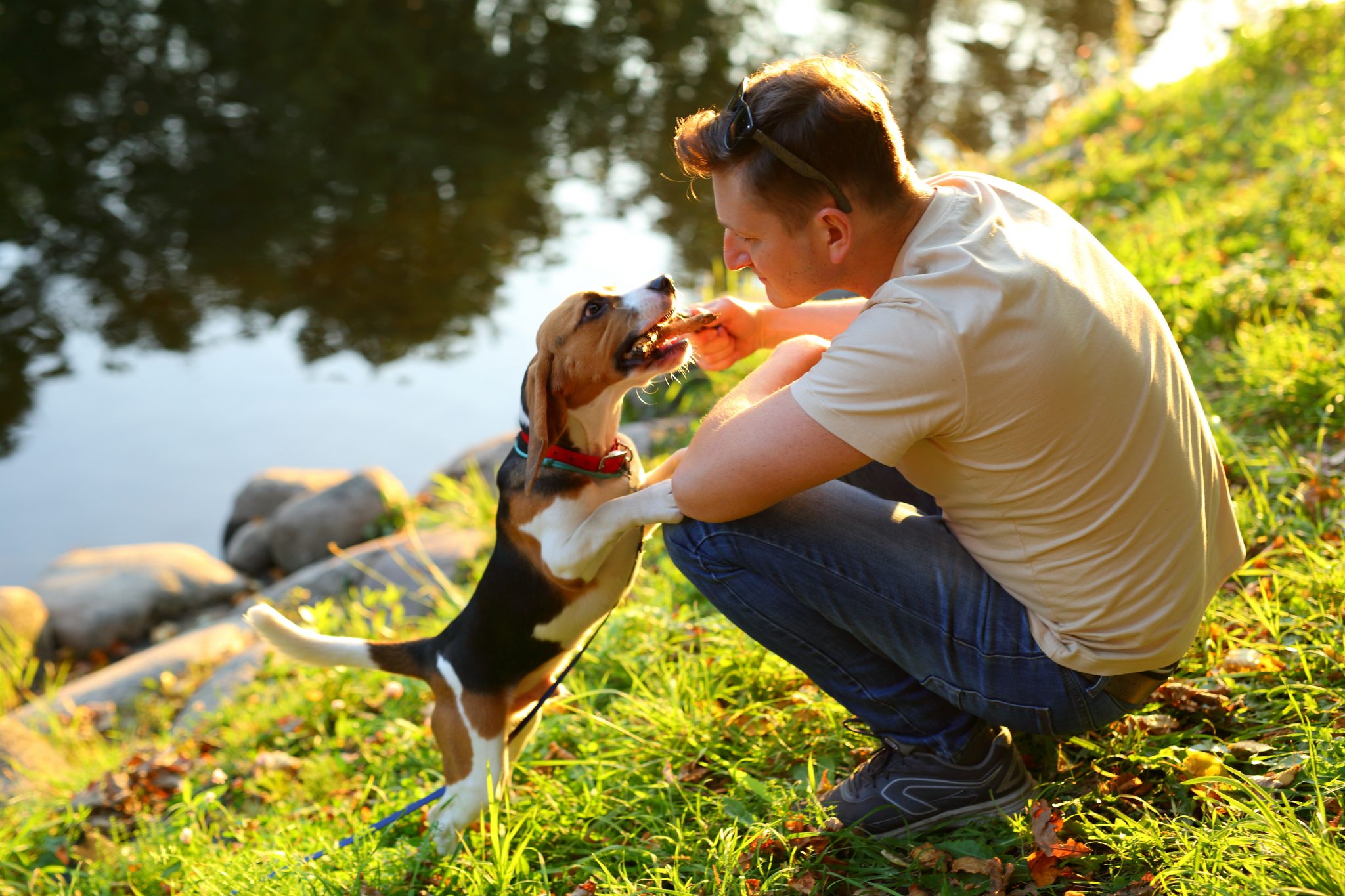 Man Who Has Never Had A Dog Meets His New Puppy For The First Time