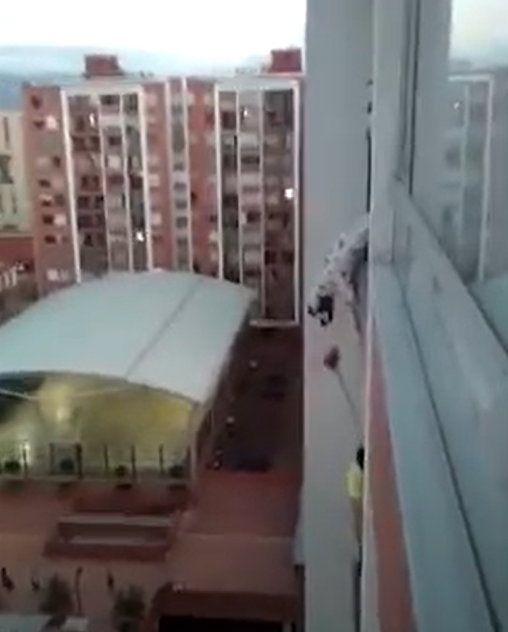 Daring Man Climbs Up Apartment Balcony To Rescue Dog Stuck In Railing